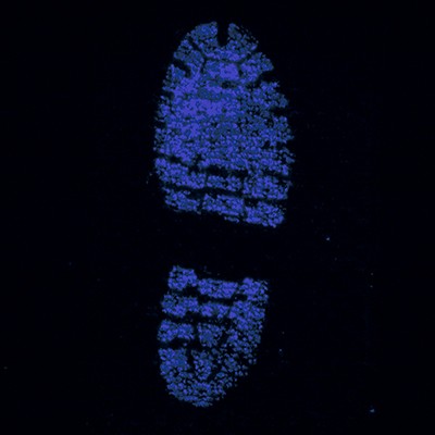 New Training Webinar "Blood Detection using Luminol & BLUESTAR" Feb 1