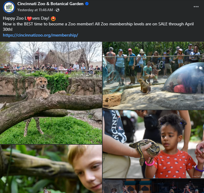 Cincinnati Zoo News and Updates