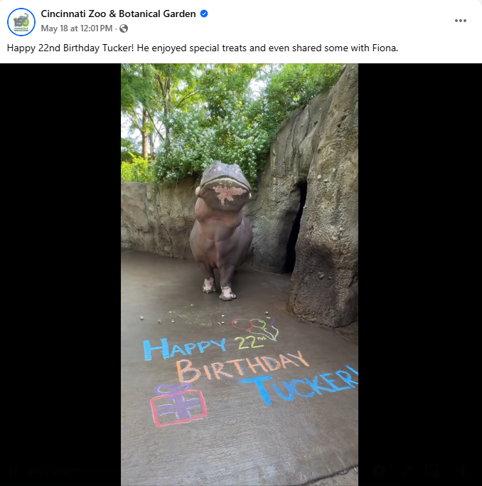 Cincinnati Zoo News and Updates