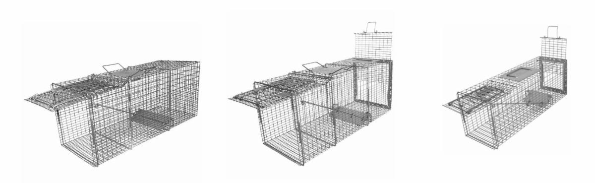 WCS Summer Product Newsletter