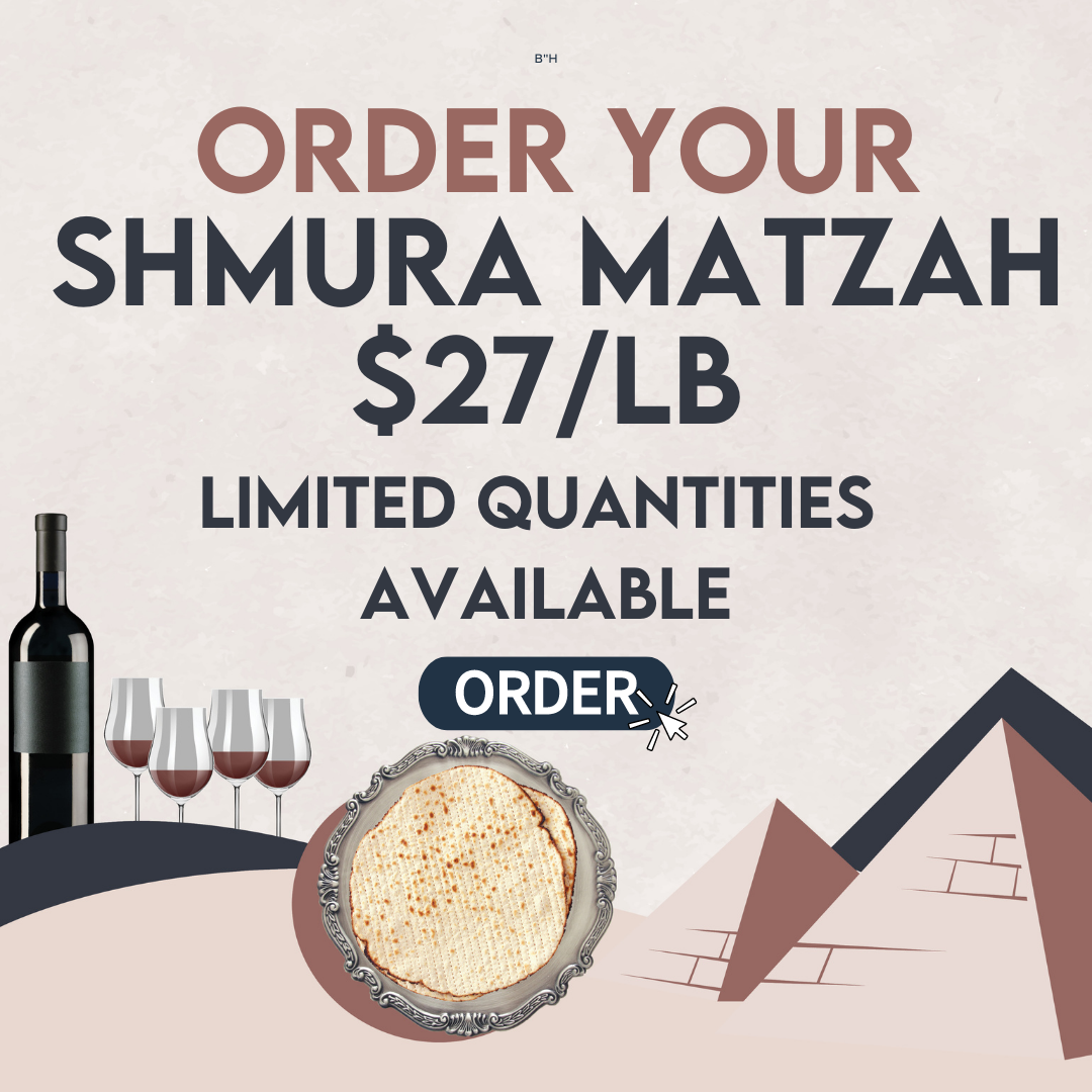 Here is what we plan for Pesach/Passover this year at The Kollel ...