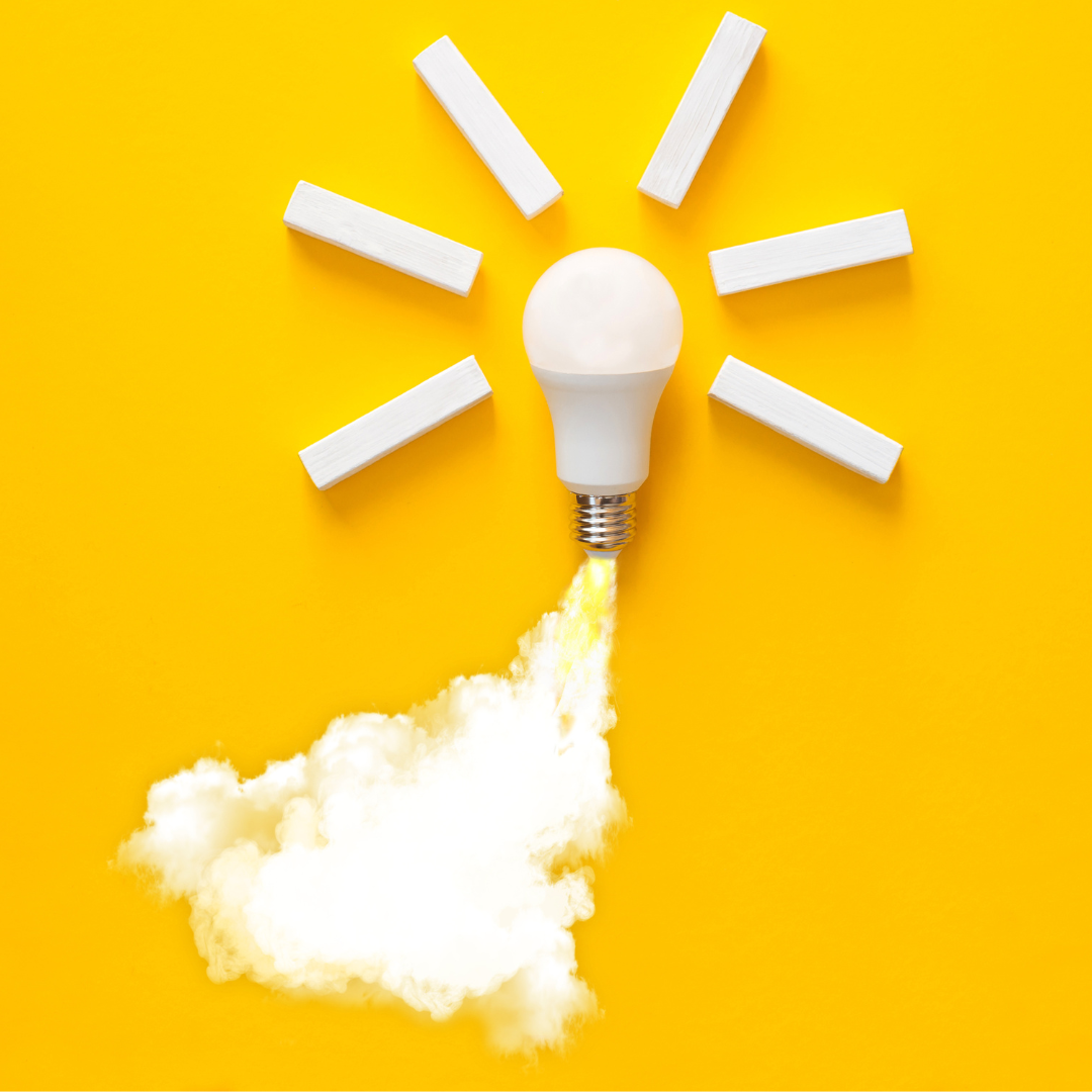 NEFLIN's August 2024 Newsletter