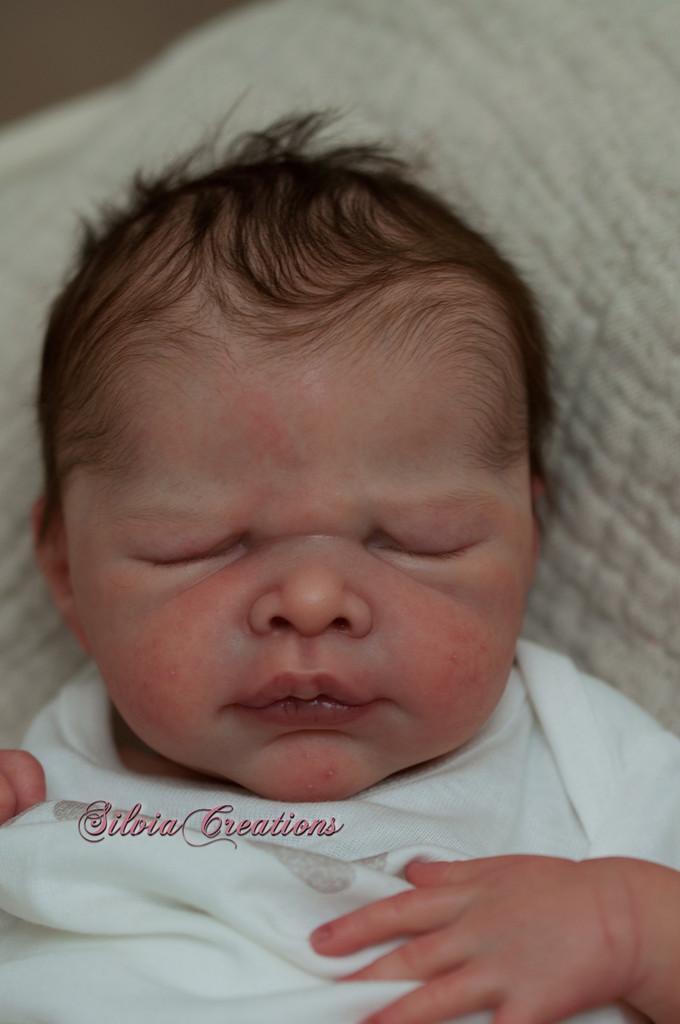 Now Open For Pre-Order: Tibor By Sabine Altenkirch & Bruni By Adrie Stoete!