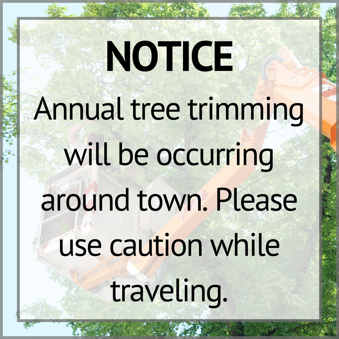 Town Manager Newsletter from Michael Herbert