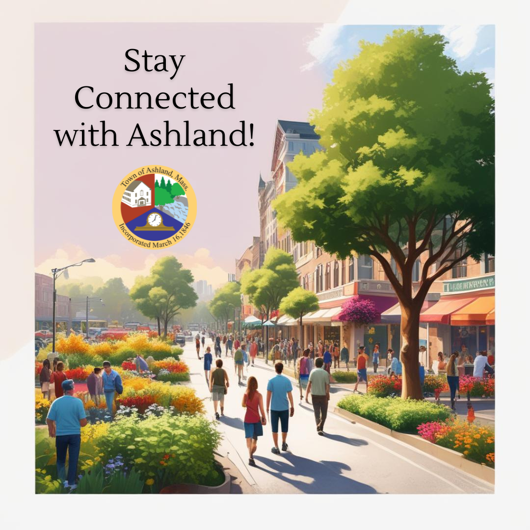 Town Manager Newsletter from Michael Herbert