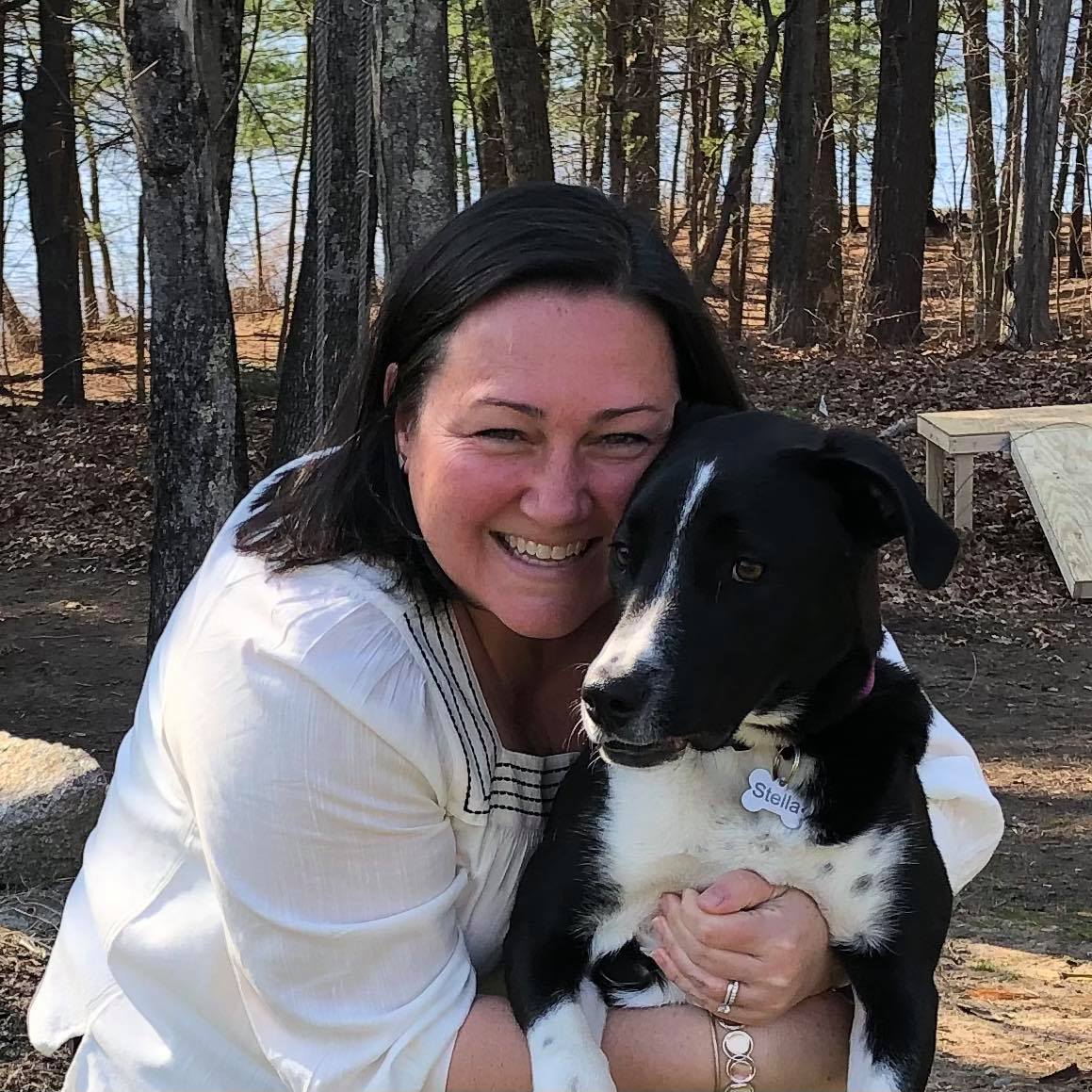 Town Manager Newsletter