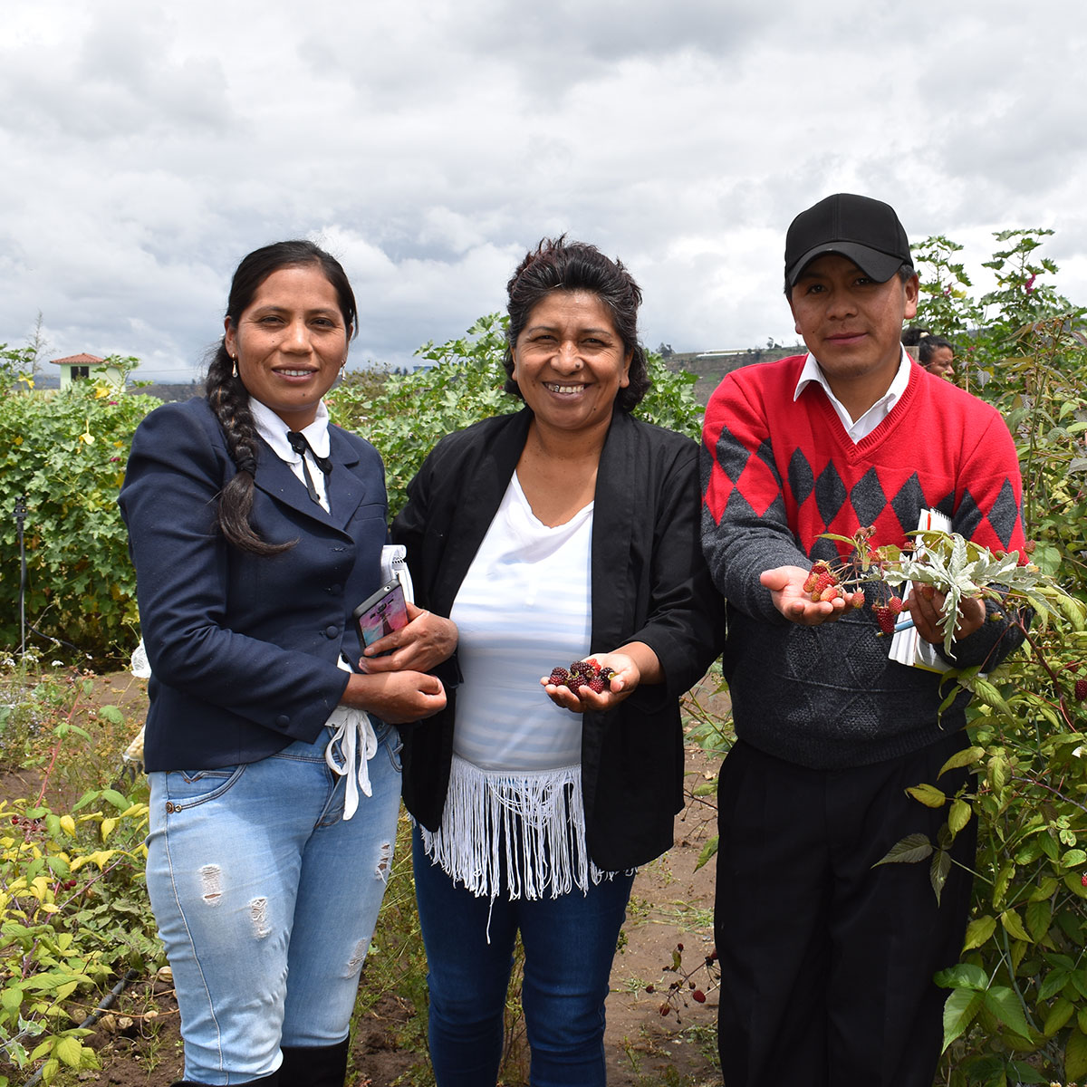 2024-2025 IOIA Scholarship Round is Open!