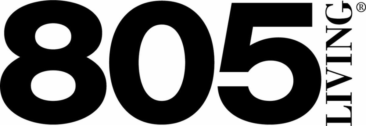 Capture the Spirit of Summer in California...🖼️🌊☀️