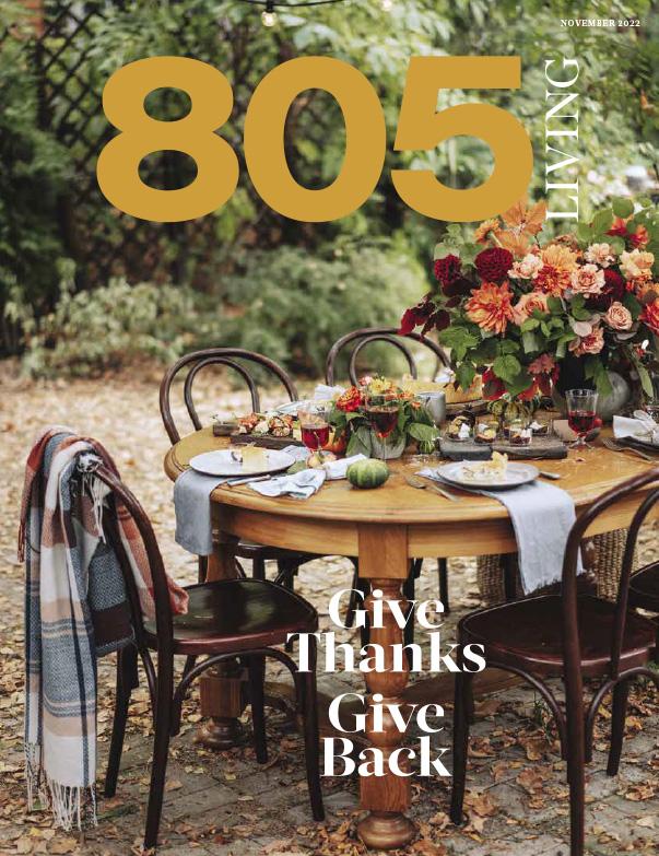 November 2022 | The Insider: What to do in-between the issues? 805 ...