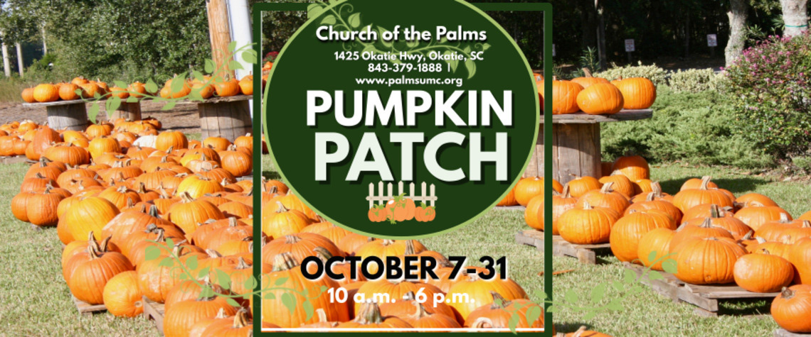 Palm Notes September 29