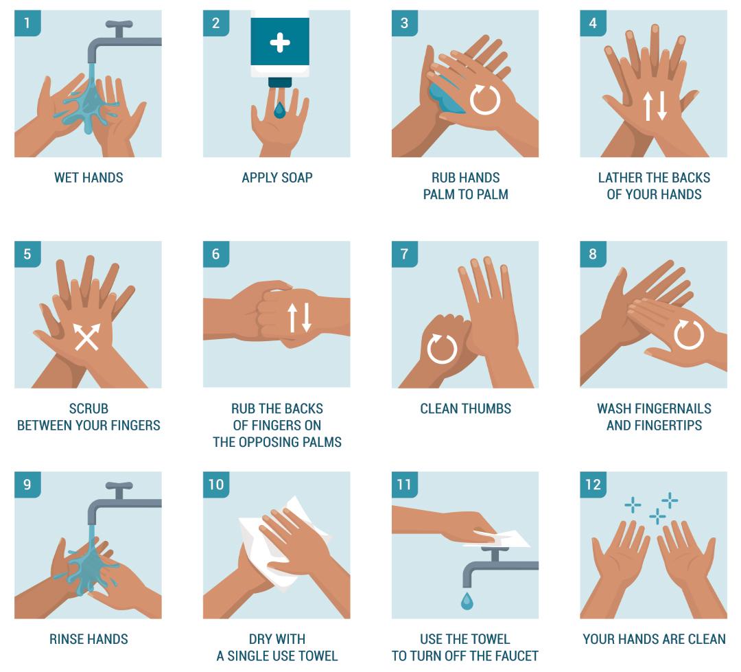 Flu Season and COROVID-19 Facts