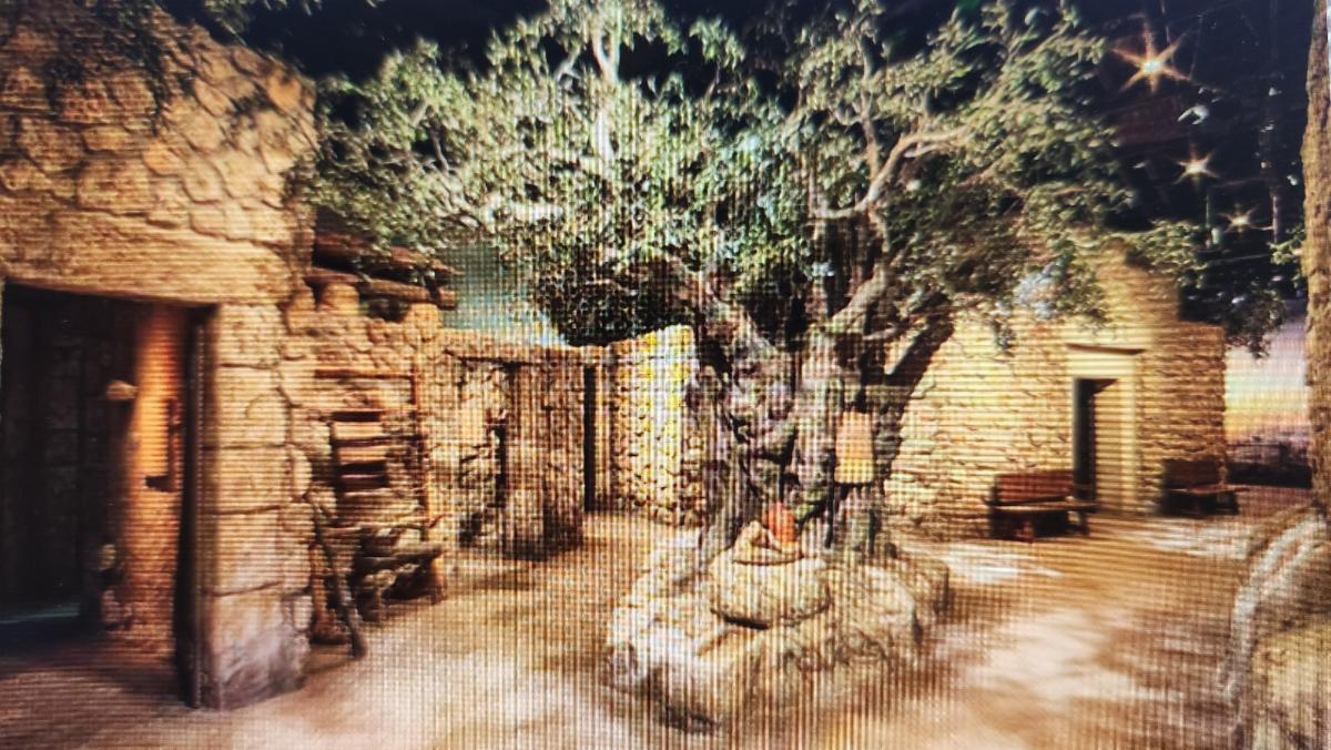 Step into the village of Nazareth during the first century AD.