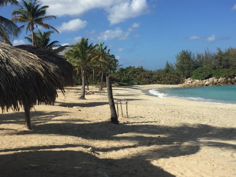 Mindfulness Retreat in Cuba, New Website, and Upcoming Programs