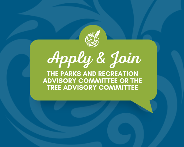 NewsFlash - February 9, 2024