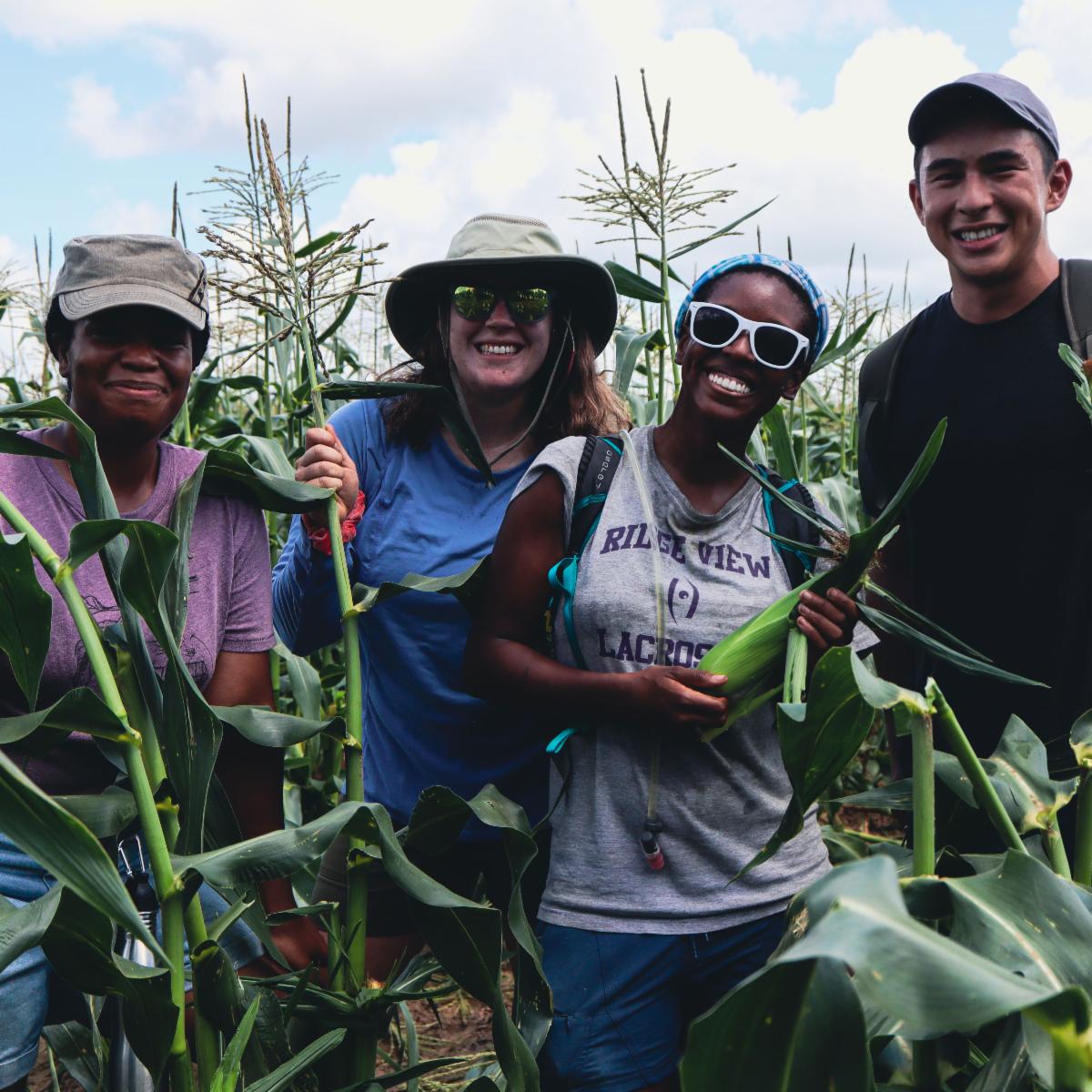 What is gleaning? And why is it so important?