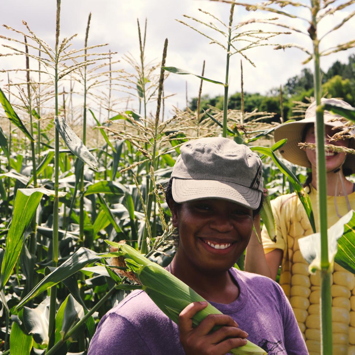 What is gleaning? And why is it so important?
