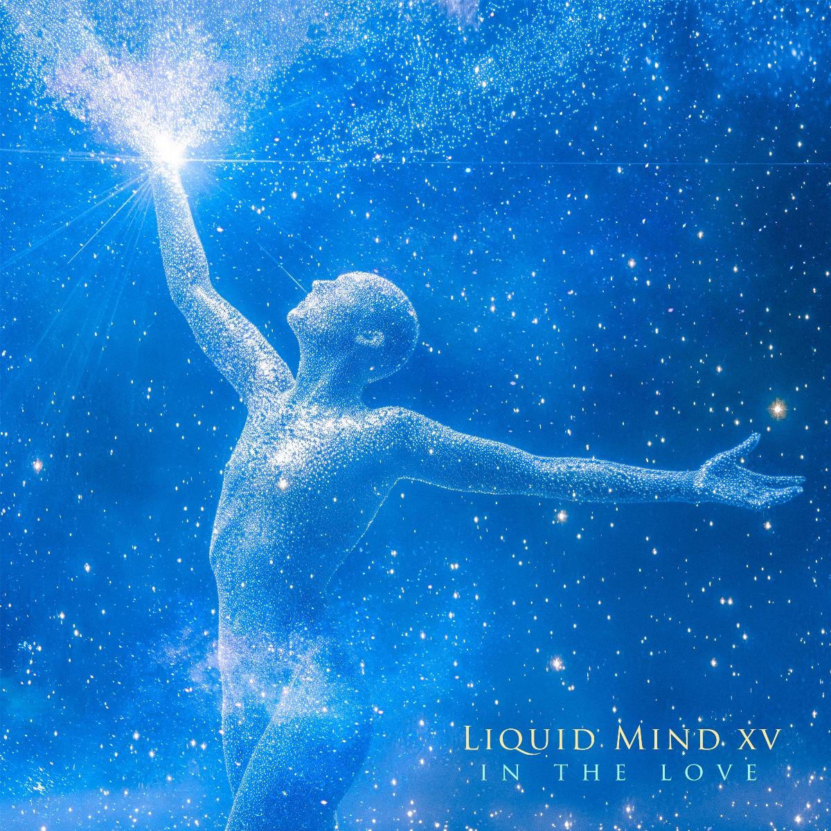 CHUCK WILD -"LIQUID MIND XV - IN THE LOVE"