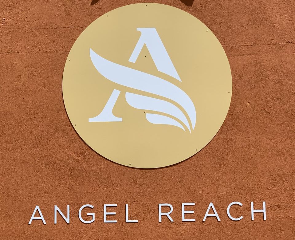 Take a peek at Angel Reach in January