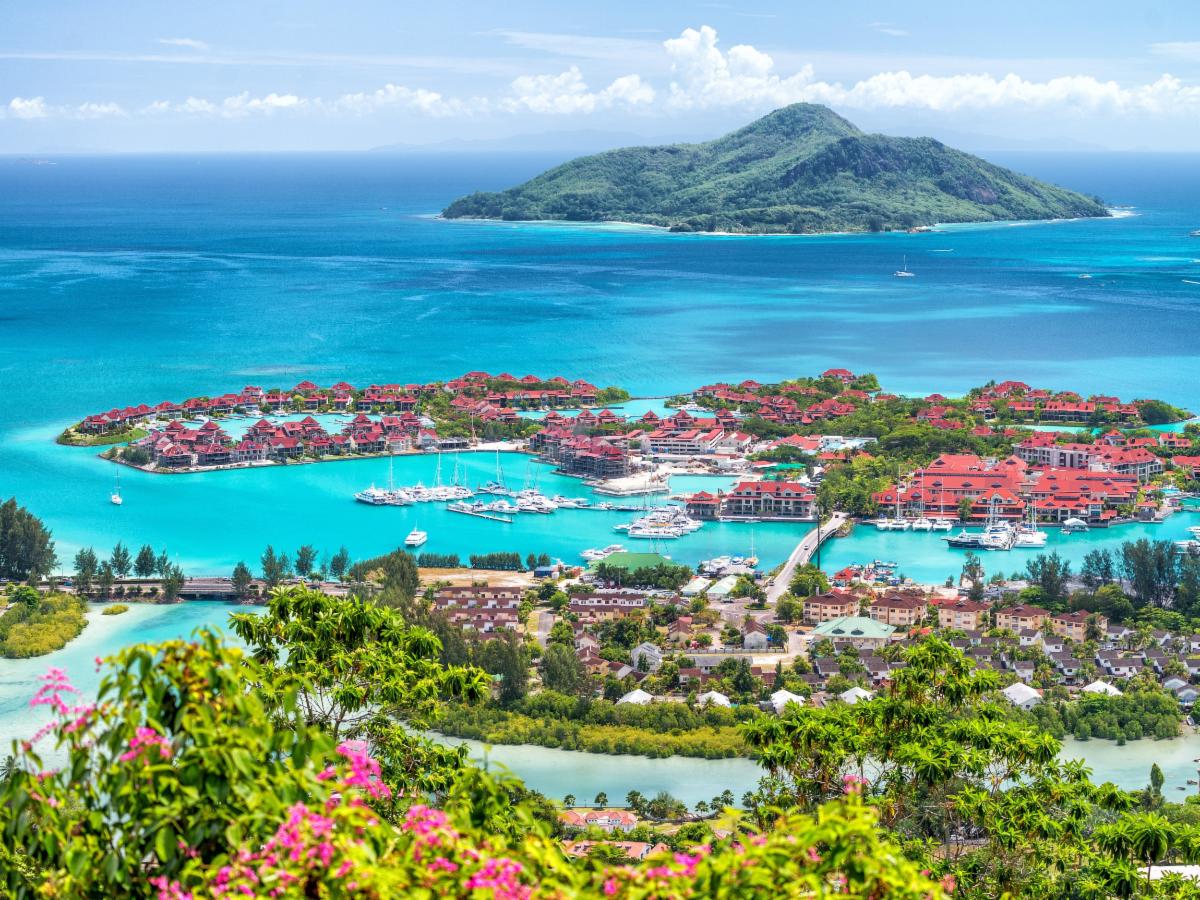 The Global Connect: Sahara Mystery Circles, Platypus Facts & Insights ...