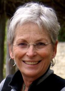 Meherrin celebrates Fourth with Fireworks