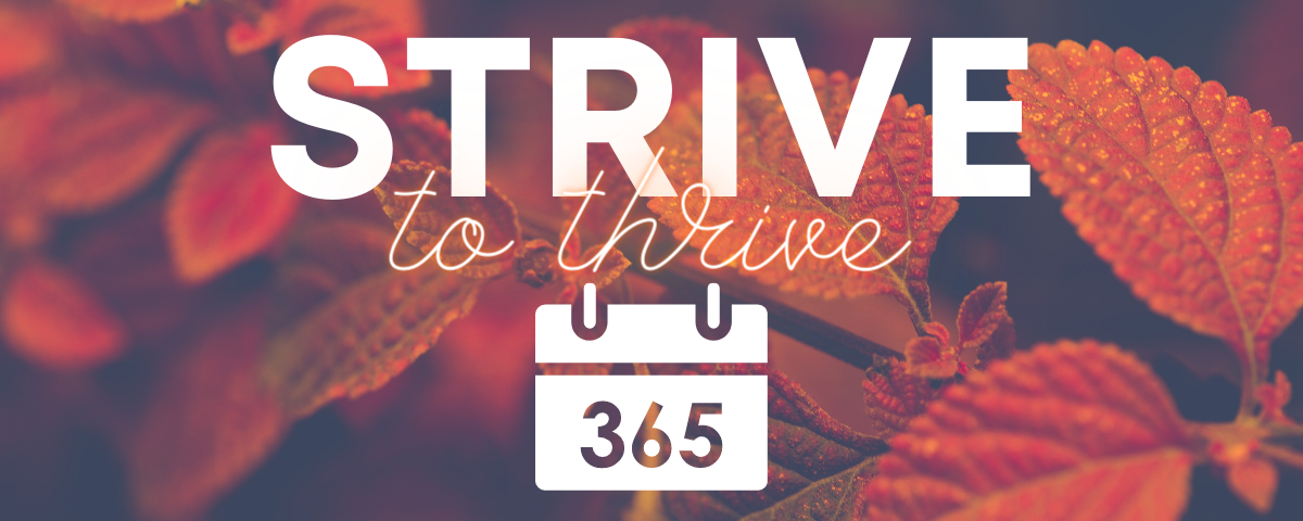 Strive To Thrive 365 😁