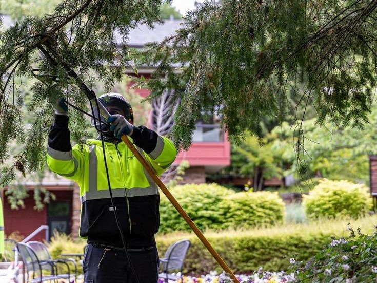 True North Landscapes Expands Arbor