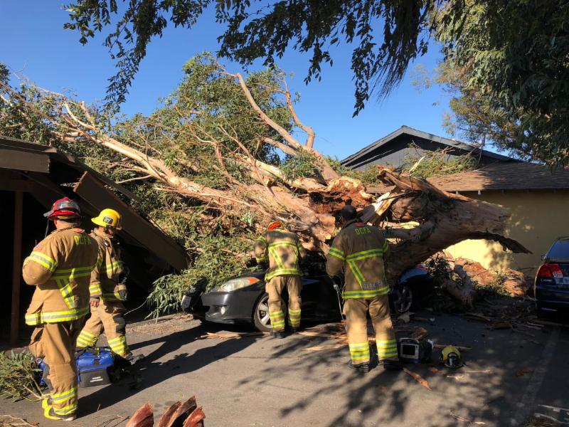 OC Firefighters News - November 2018