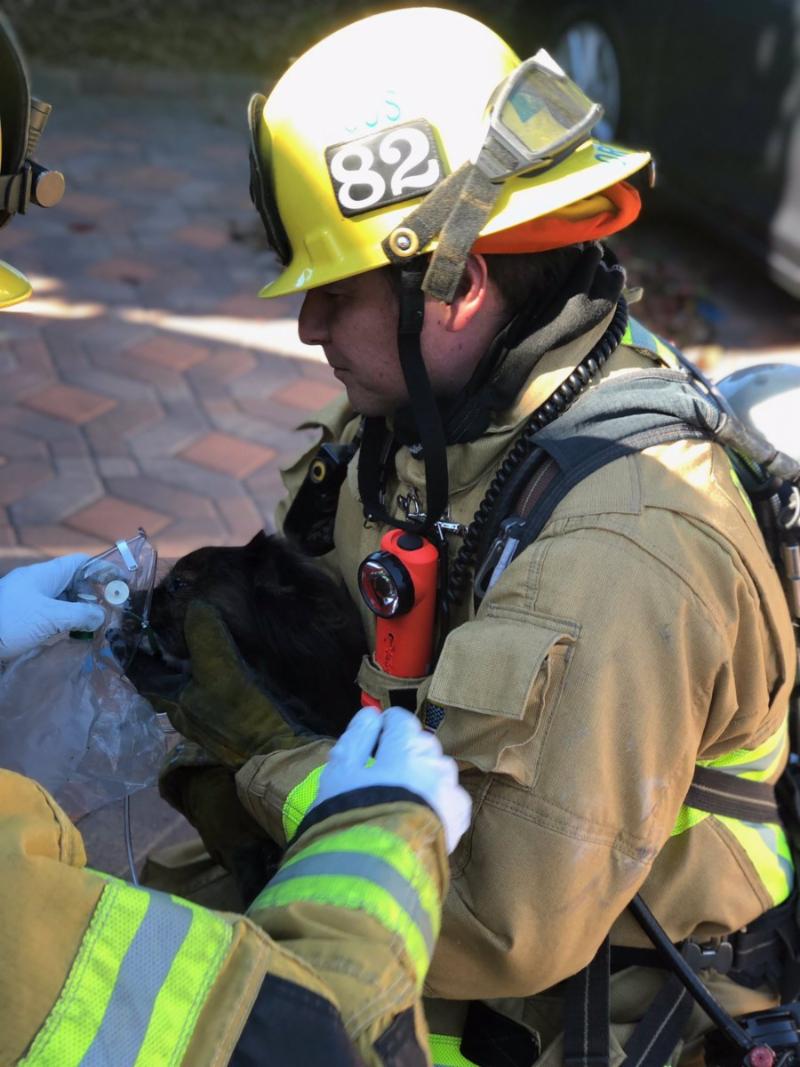 OC Firefighters News - February 2019