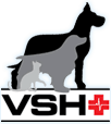 VSH welcomes Dr. Roque Torres!