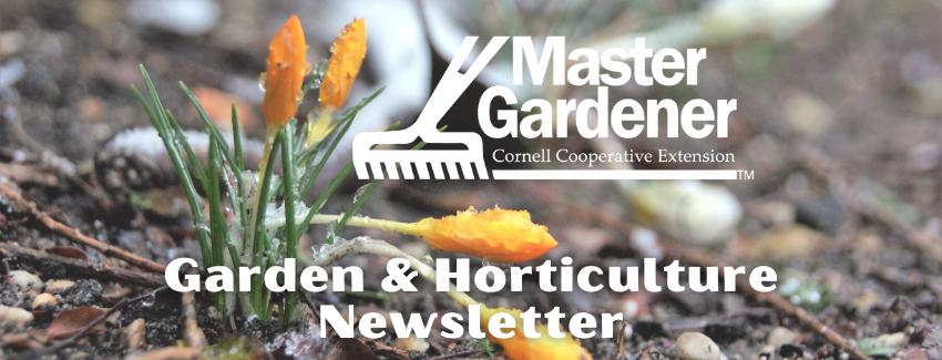 Garden & Horticulture Newsletter