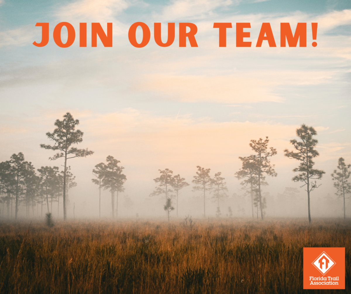 Volunteer Opportunities, Open Positions, and More!