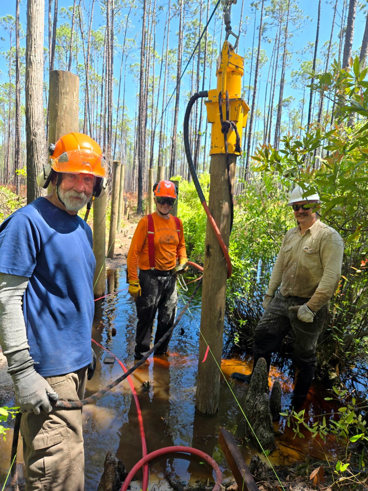 Major Trail Improvement in Osceola National Forest and More!