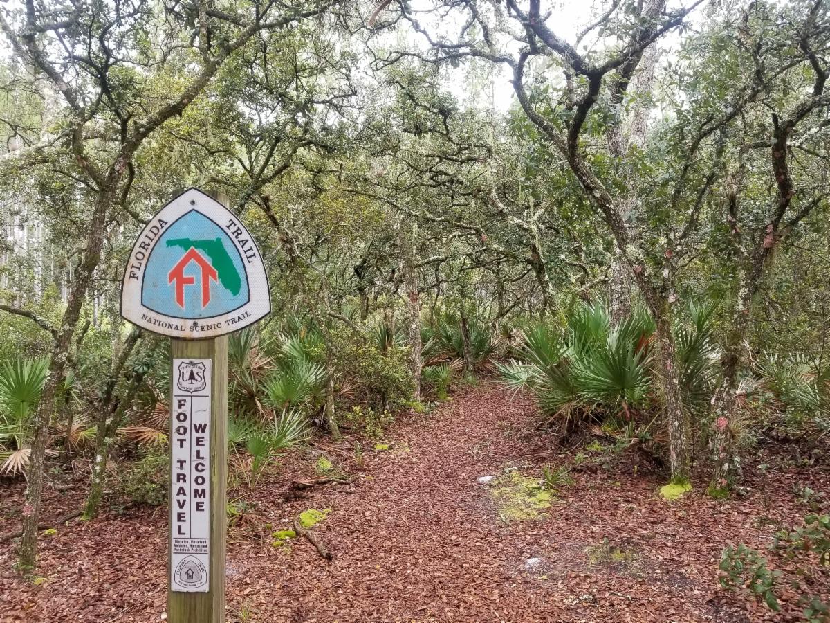 Friday Waypoint: Help us Advocate for the Florida Trail