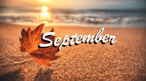 Fall Into Our September Newsletter 🍁