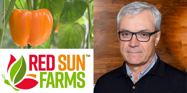 Seed to Plate Approach: Q&A With Red Sun Farms President Jim DiMenna