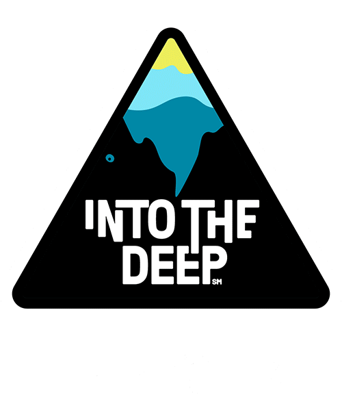 FLL Challenge Ontario Program Update #16 - Provincial Championship ...