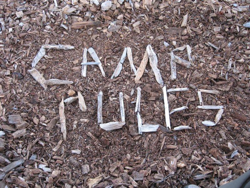 Camp Spring Work Weekend - March 22-24