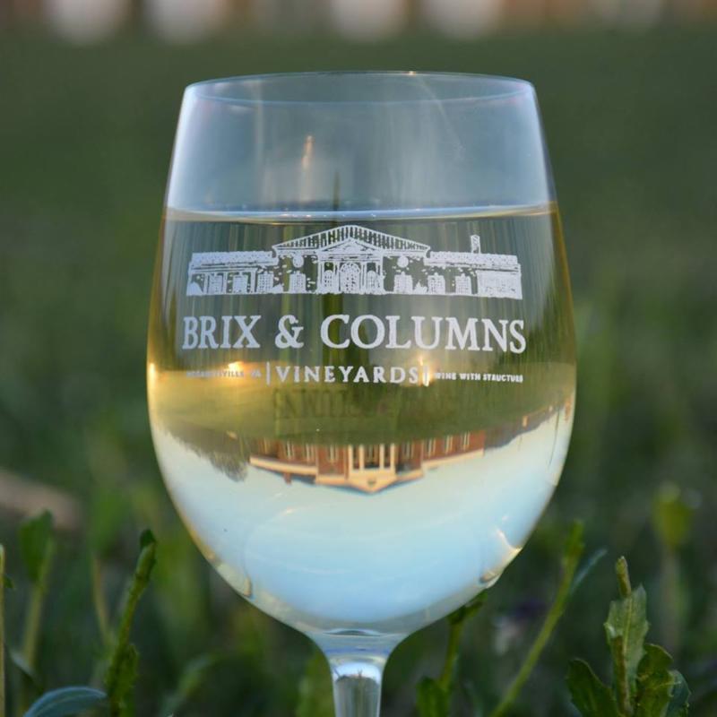 Jimmy O @ Brix and Columns Vineyards!