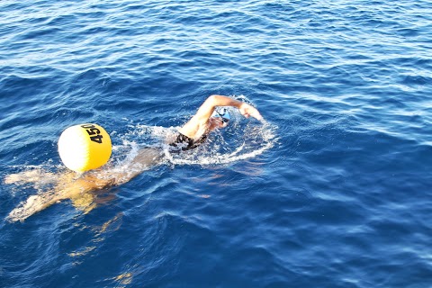 Idlewild - Swim Events