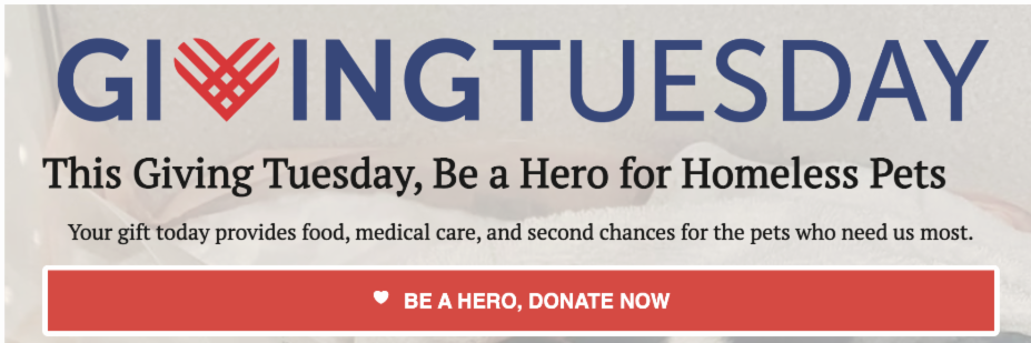 What Is Giving Tuesday and Why It Matters - From Digby’s Heart - Foster ...