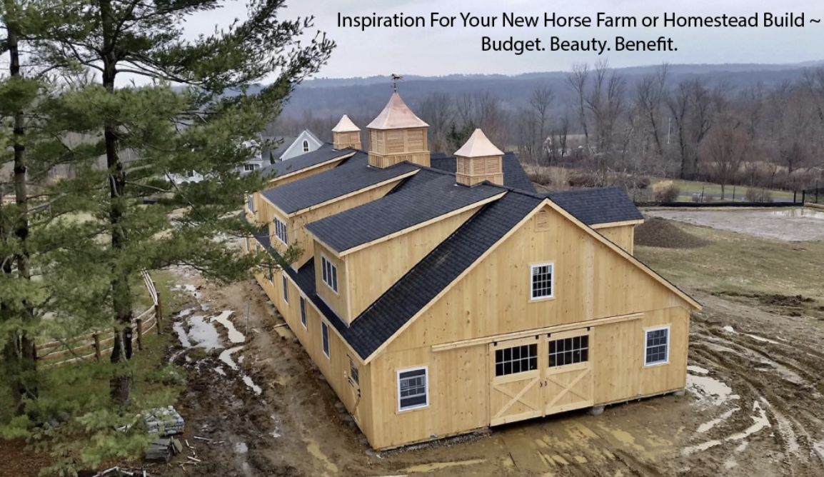 Barn Building Plans Revealed