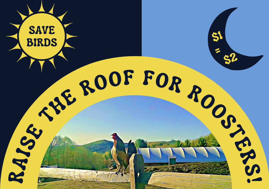 In Memory of Mighty Mouse