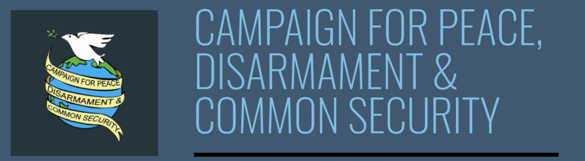 21ST CENTURY COMMON SECURITY REPORT