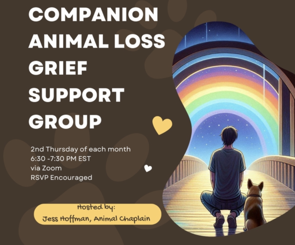 Animal Chaplain June 2025 Newsletter