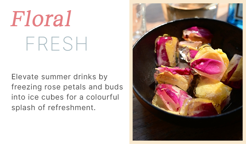 Roses! Bold and Beautiful STATEMENT plants for your GARDEN