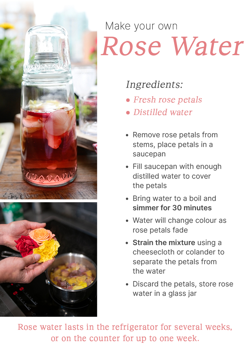 Roses! Bold and Beautiful STATEMENT plants for your GARDEN