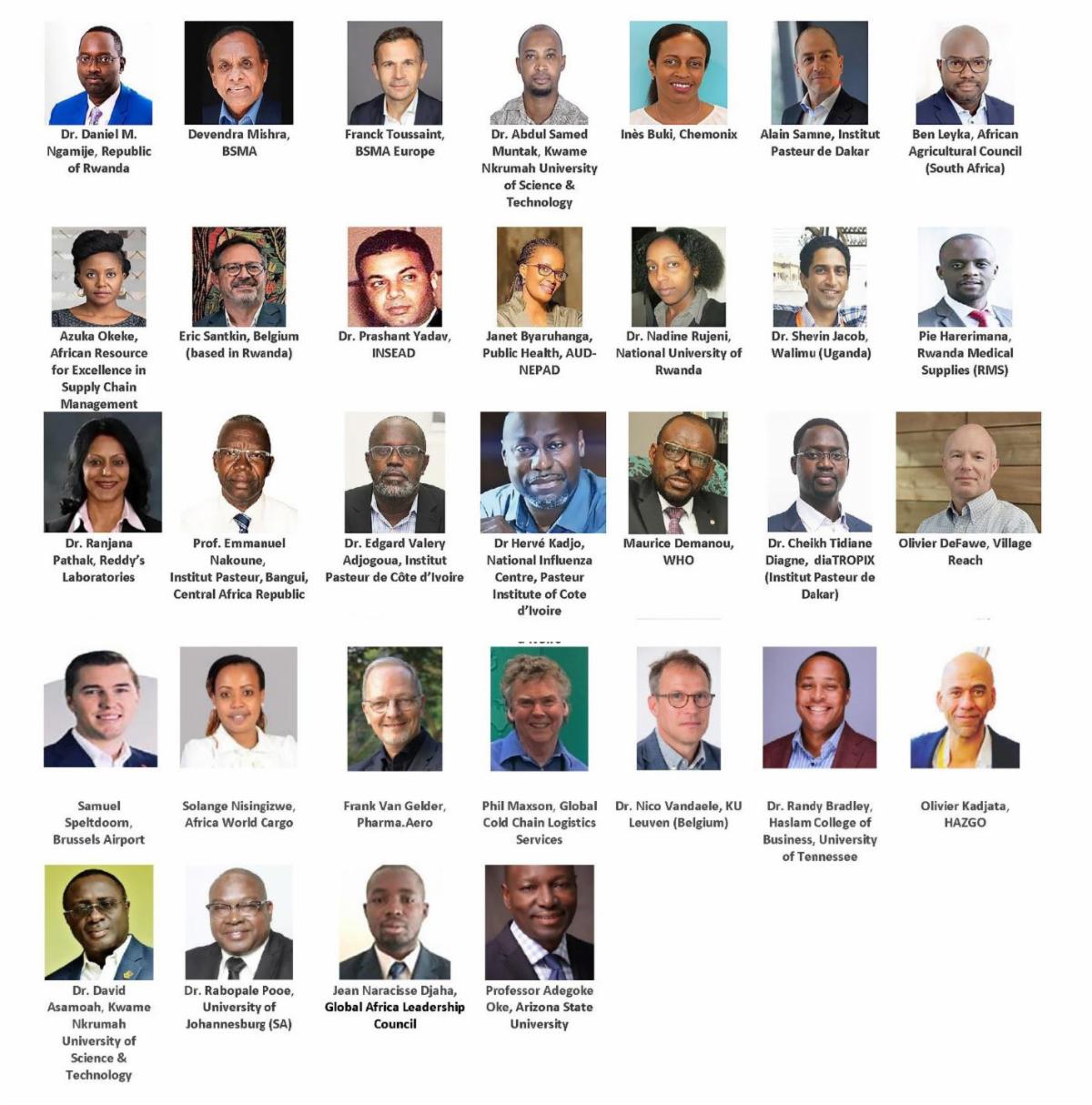 Meet the ROCK STARS of the BSMA Africa Inaugural Summit Oct 31-Nov 1, 2022