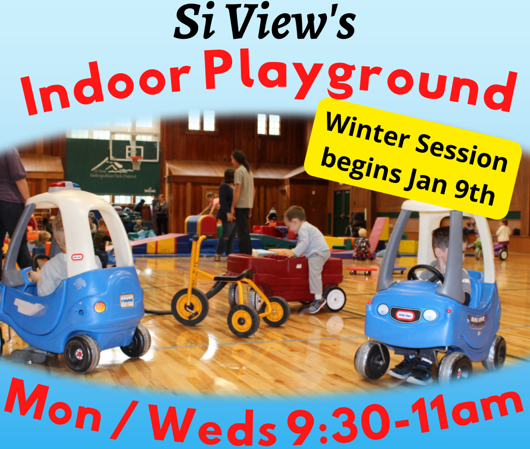 Si View E News - January 2023