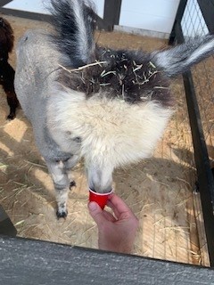 Si View E News - October 2023