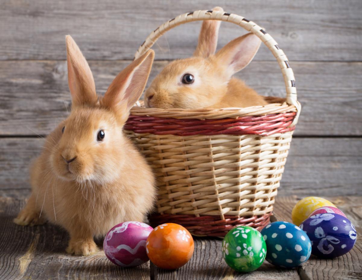 State Surplus Store & Online Auctions